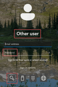 Start hiding the password option from the login screen in Windows 11 ...
