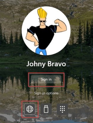 Start hiding the password option from the login screen in Windows 11 ...